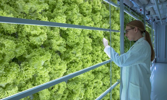 Leapfunder: Where Angel Investors Find Promising Startups